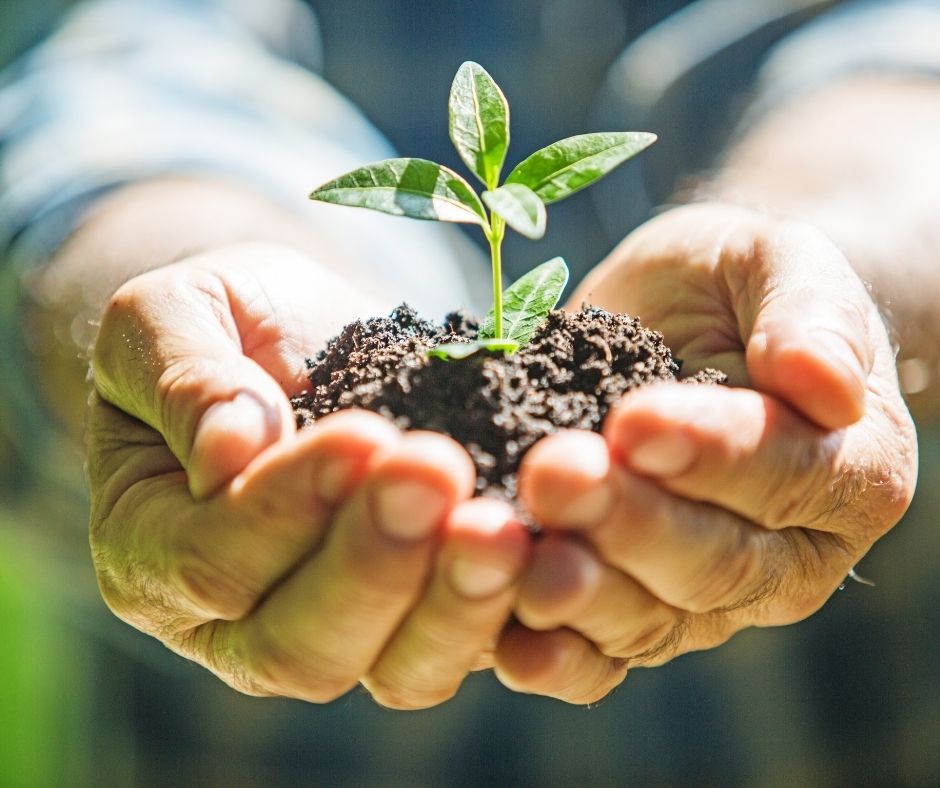 La Journée Internationale de la Terre Nourricière
